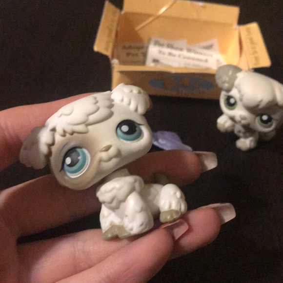 Hasbro | Other | Littlest Pet Shop Poodles | Poshmark